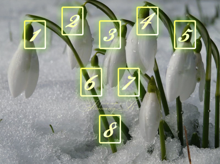 Spread for Imbolc “Snowdrops”